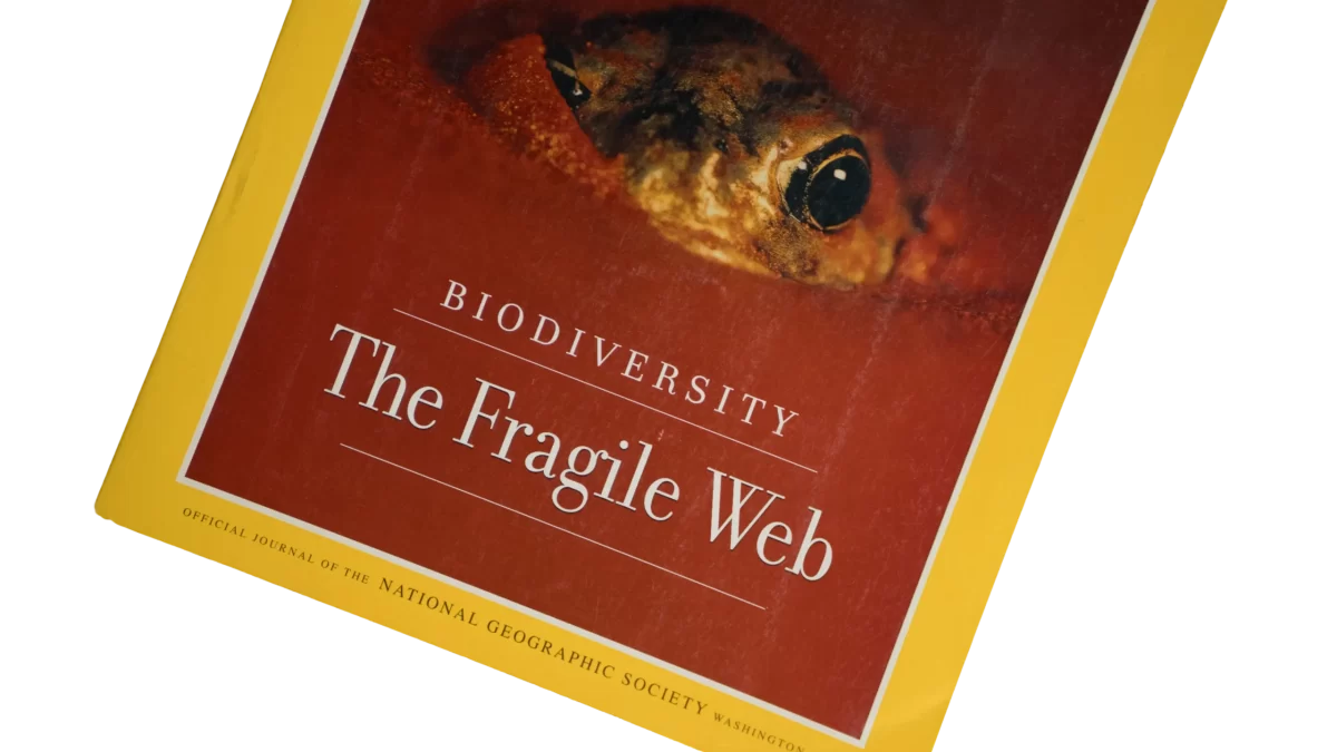 Biodiversity The Fragile Web – National Geographic Magazine / 1999 ...