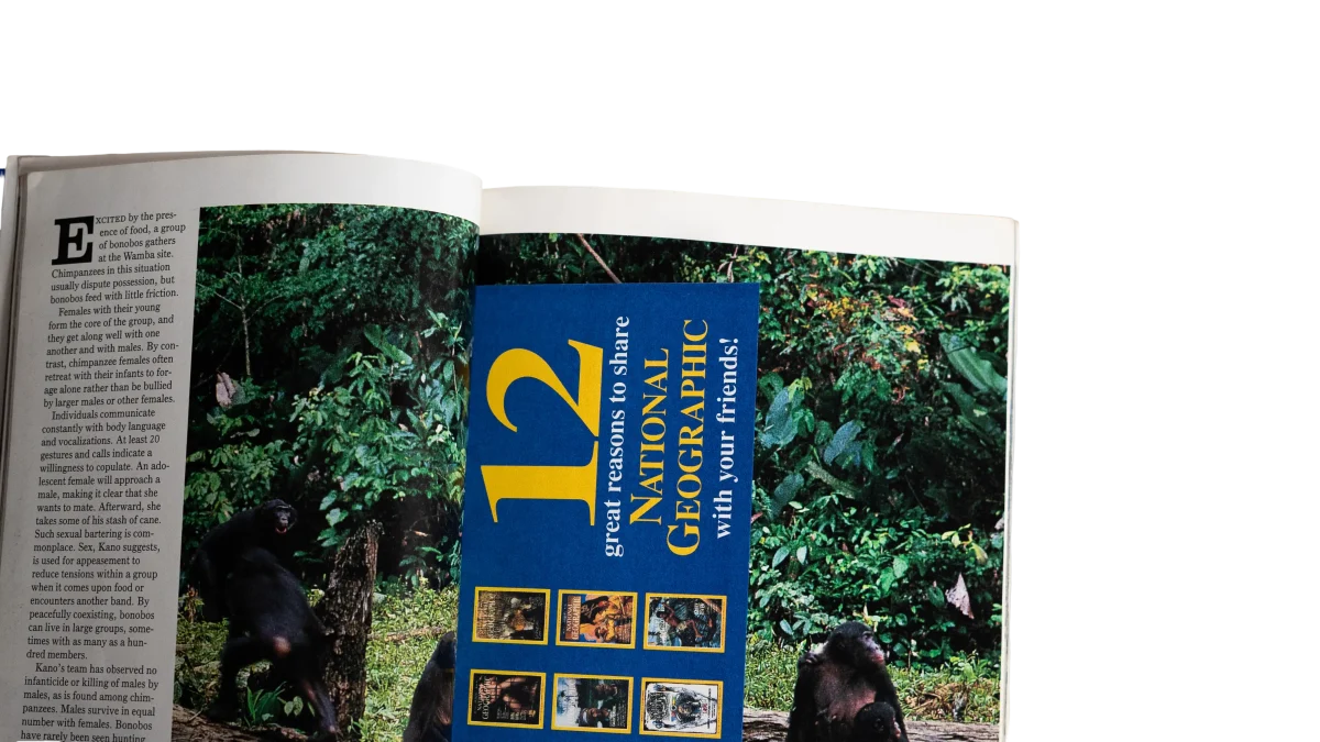 Apes and Humans National Geographic 1992 – Retro Hunts