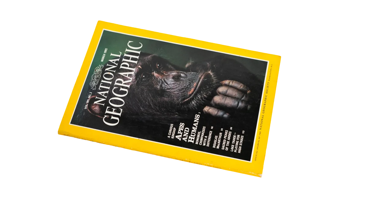 Apes and Humans National Geographic 1992 – Retro Hunts